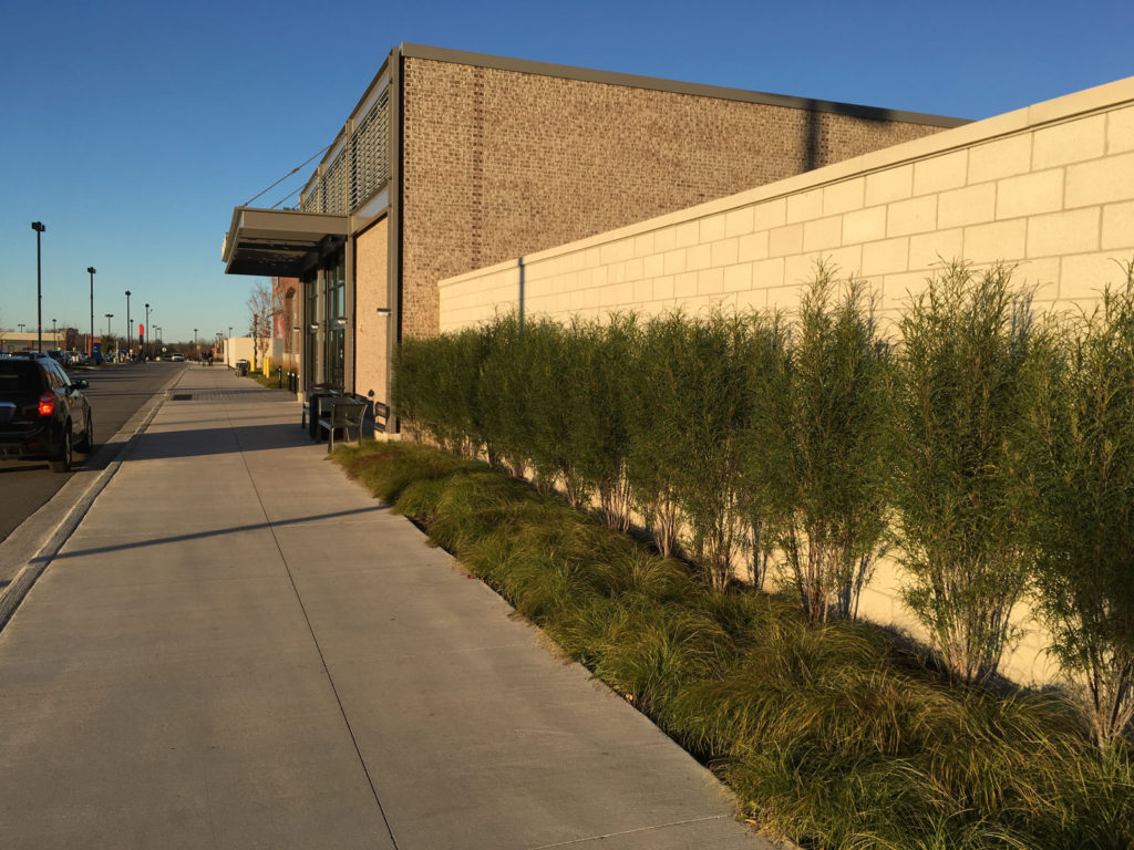 Architectural Functions of Landscapes - Elements Studio