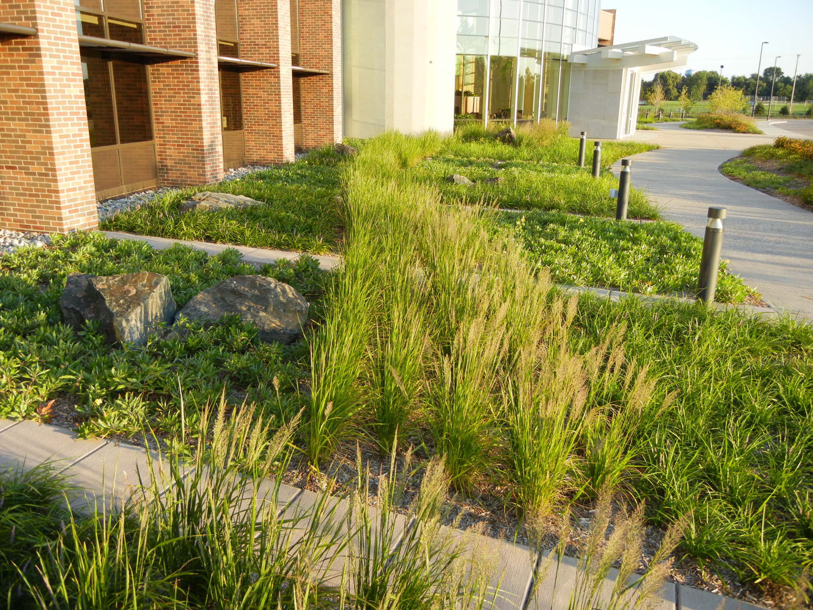 Aesthetic Functions of Landscapes - Elements Studio