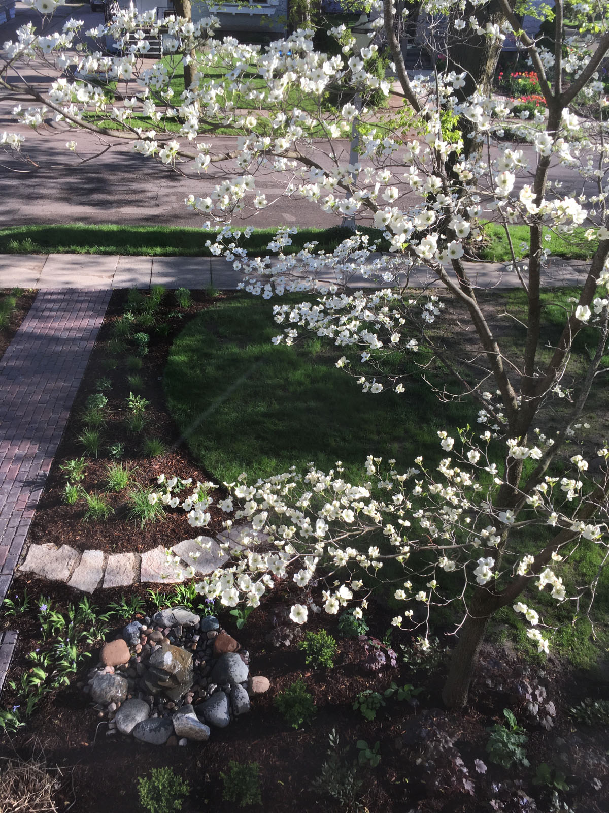 What is that Flowering Tree - Part II - Elements Studio