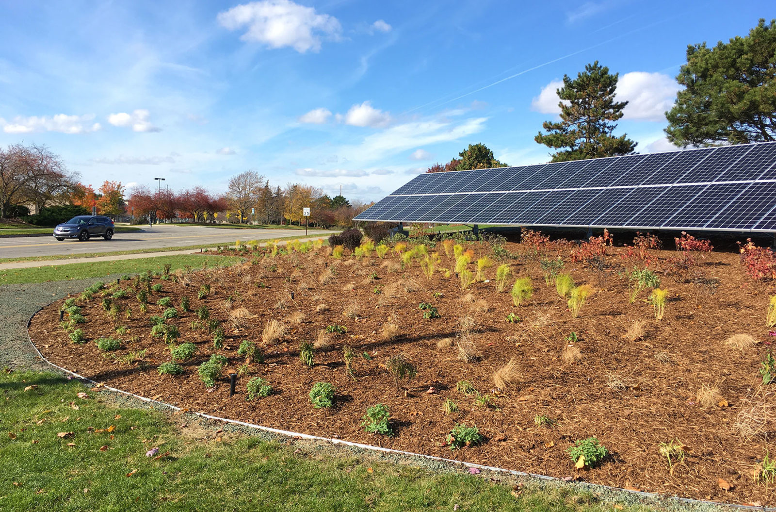Meridian Township - Elements Studio